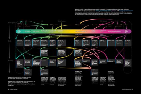 Biological Sex Spectrum R Lgbt