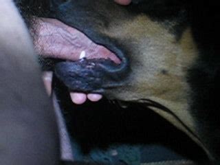 кончил Zoo Tube 1