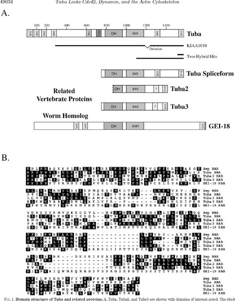 Dh Domain Semantic Scholar