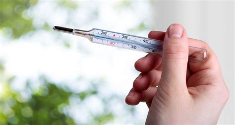 Accurate Ovulation Calculator Calculate Your Menstrual Cycle Hipp Organic