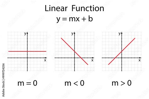 Linear Function On The White Background Education Graphic Diagram