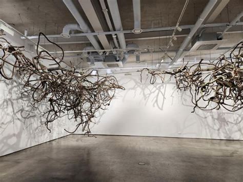 삼성동 빌딩숲에 등장한 뿌리와 이파리 전시 끝나면 자연으로