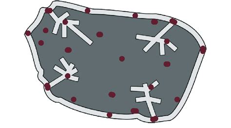 Conceptual Model Of An Environmental BC Particle After Long Term Download Scientific Diagram