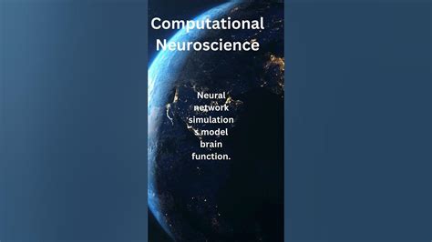 Unraveling Brain Function Neural Network Simulations And Connectomics Youtube