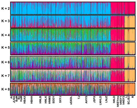 Bayesian Estimation Of Population Structure K Is The Number Of Download Scientific Diagram