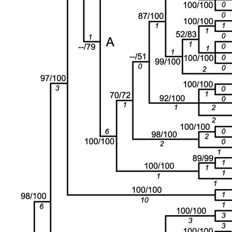 Combination Of The Consensus Tree Of 1000 Replicate Bootstraps Analysis Download Scientific