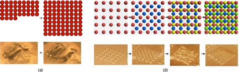 A Printing Algorithm Before Optimization Printing Microdroplets Of