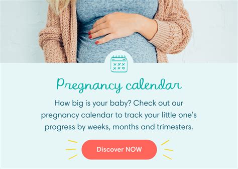Months Pregnant Symptoms And Fetal Development Pampers 40 Off