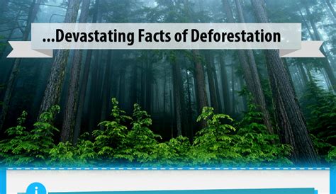 Pros And Cons Of Deforestation Hrf