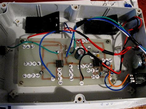How To Build A Insect Wing Signal Detector Circuit Making Easy Circuits