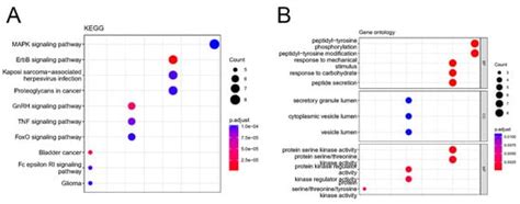 Ijms Special Issue Machine Learning And Bioinformatics In Human Health And Disease 2nd Edition
