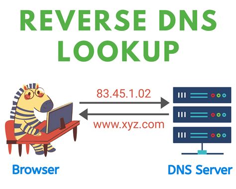 DNS Records Explained A Z DNS Record Types DNS Meaning More Kripesh Adwani