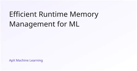Efficient Runtime Memory Management For Ml