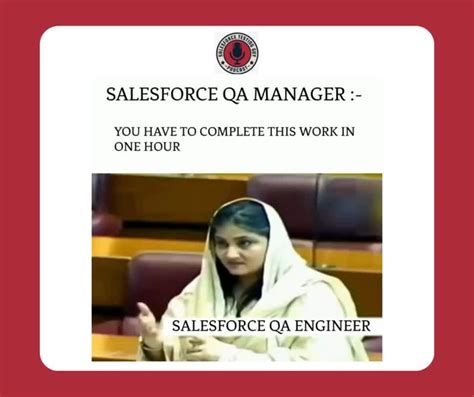 [video] Salesforce Testing Guy On Linkedin Salesforcetestingguy