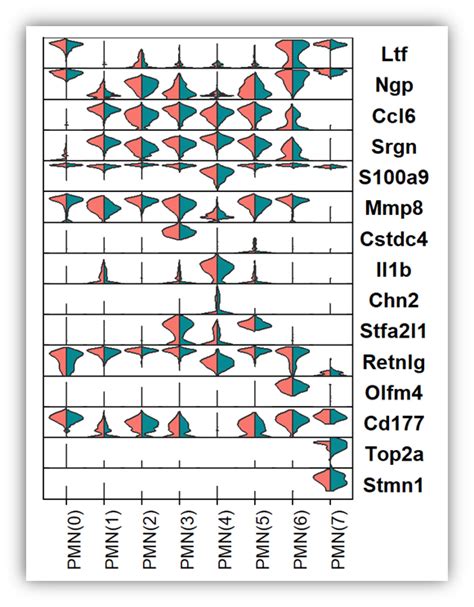 Ggplot堆叠图无缝拼接自写一个简洁堆叠小提琴图函数）小提琴堆叠图 Csdn博客