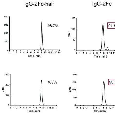 Size Exclusion High Performance Liquid Chromatography SE HPLC Download Scientific Diagram