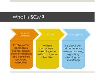 Career In SCM PPT