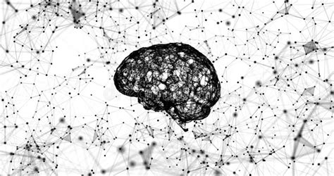 Human Brain Being Formed By Revolving Particles Plexus Structure Evolving Around Stock Footage