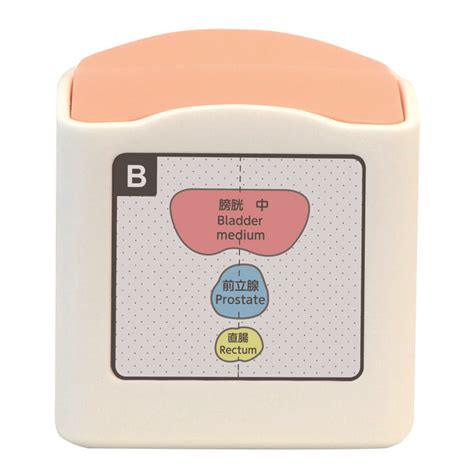 Rectal And Bladder Ultrasound Phantom Sem Trainers