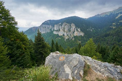 Un Environment Programme Europe On Twitter The Fruitful Cooperation