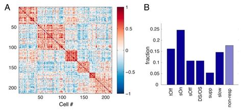 2 Functional Cell Types In Mouse Dlgn A Similarity Matrix Based On