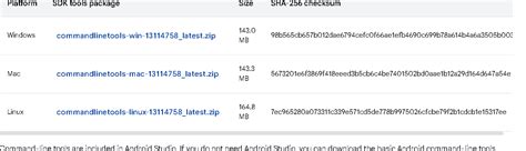 Flutter Setup Without Android Studio Complete Setup Guide