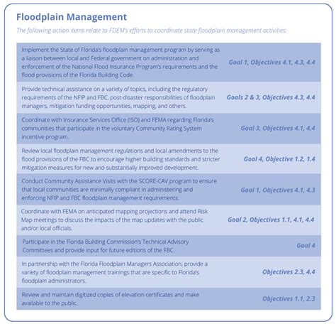 Mitigation Action Plan
