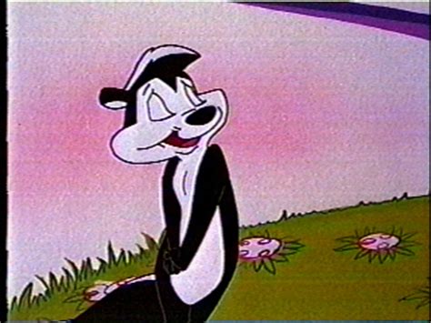Pepe Le Pew Looney Tunes Photo Fanpop