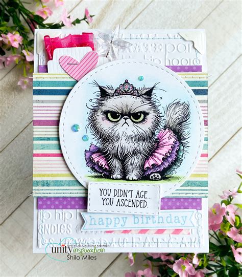 Purr Fection Princess Pissy Kitty