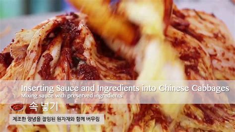 다모 홍보동영상 영어 Youtube