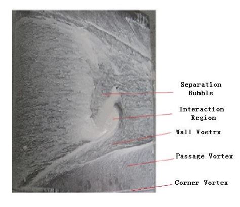 Oil Flow Visualization On Suction Surface Of Wall0 Download Scientific Diagram