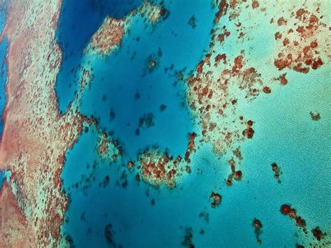 줌줌 후기 호주트래블 케언즈 케언즈 여행의 필수코스 그레이트베리어리프 선러버크루즈 패키지 Ph