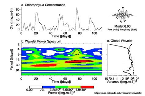 Chlorophyll A Wavelet Analysis A Chlorophyll A Concentration Mgm 3