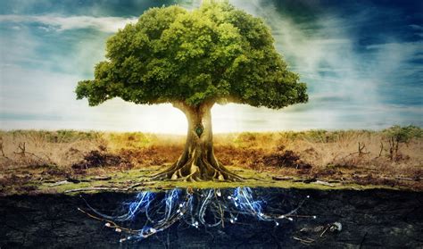 The Tree Of Knowledge Of Good Evil Psychedelic Scene Magazine