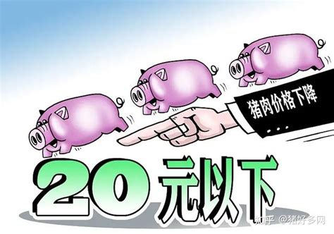 11月26日猪价上涨乏力有养殖户已亏损春节还能反弹吗 知乎