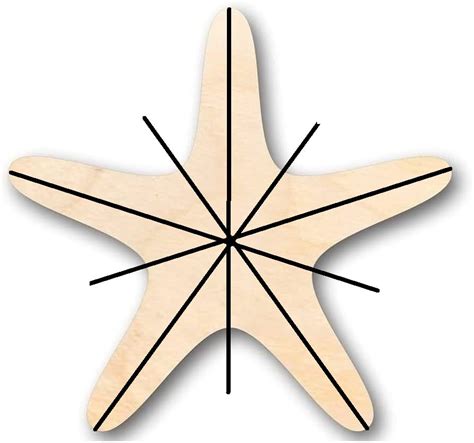 Echinoderms And Chordates