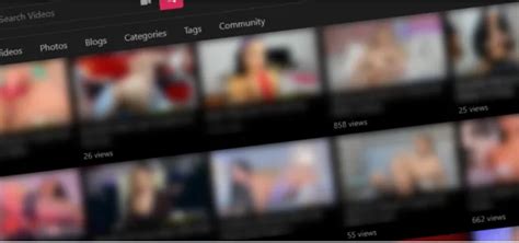 Free Download Adult Video Script V8 2 Addons Nulled