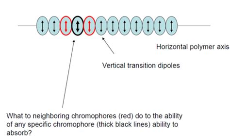 Spec Lecture 4 Flashcards Quizlet