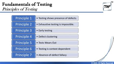 Chapter 1 Fundamentals Of Testing V40 Pdf