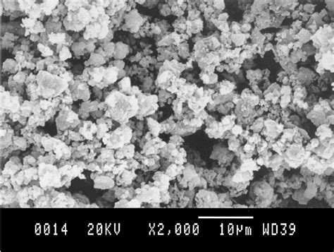 Sem Picture Of An Mgsin 2 Powder Synthesised At 1250 C From A Si 3 N