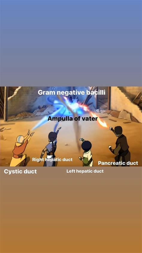 Prevention Of Ascending Cholangitis R Step1