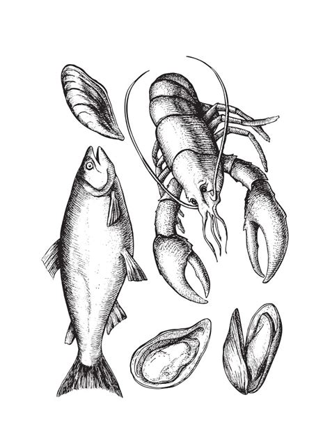 Shellfish Drawing At Getdrawings Free Download
