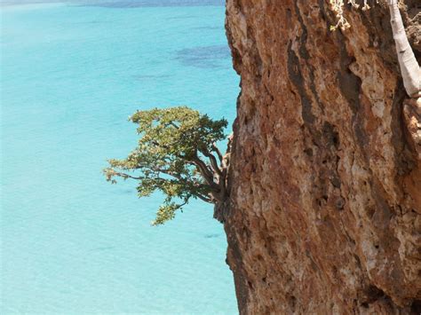 First 1 000 Fungi On Iucn Red List Reveal Growing Threats Iucn Red List Press Release Iucn