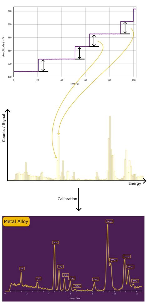 Signal Processing Ketek Gmbh Creative Detector Solutions