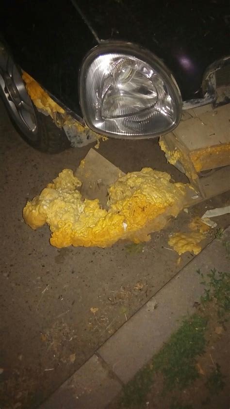 Т-Тюнинг итоги | Пикабу