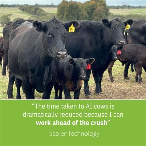 Sapien Technology Pty Ltd On Linkedin Work Smarter Not Harder