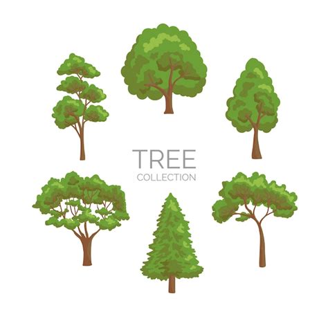 Free Vector Trees Collection With Realistic Style