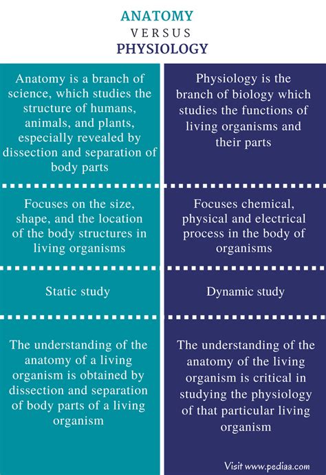 Difference Between Anatomy And Physiology Definition Classification
