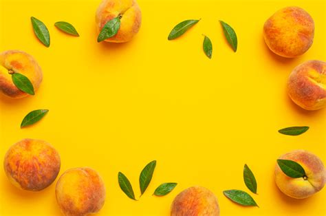 복숭아로 평평한 누워 조성물 노란색 배경에 녹색 잎이있는 잘 익은 육즙이 많은 복숭아의 프레임 플랫 레이 상단보기 복사 공간 신선한 유기농 과일 비건 식품 수확 개념 0명에