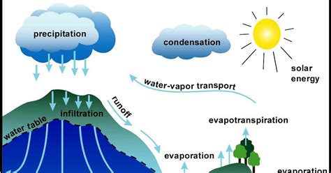The Water Cycle Evaporation Condensation Precipitation Educational